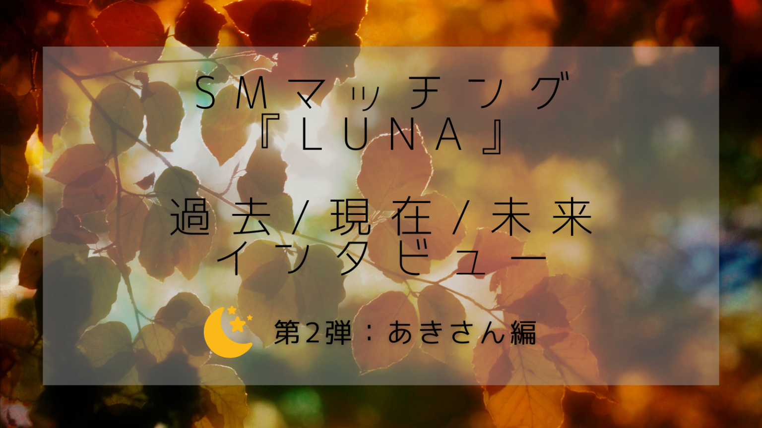 SMマッチングサイト『Luna』の開発者インタビュー #Luna_SM 【Webサービス】 - feti+Plus（フェチプラス）